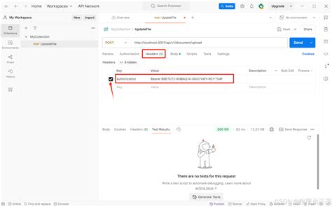 Anythingllm开发者接口api测试anythingllm Developer Api Csdn博客