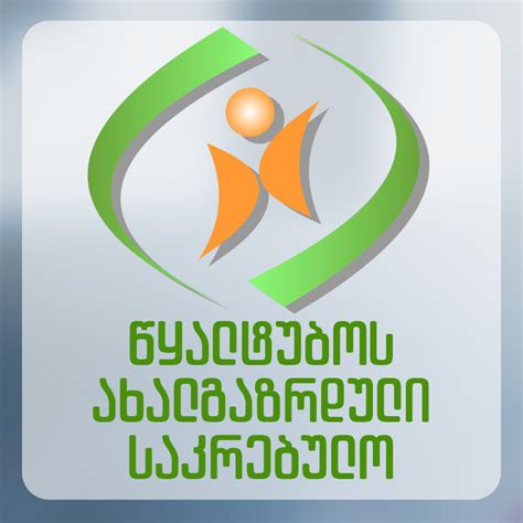 წყალტუბოს ახალგაზრდული წყალტუბოს ახალგაზრდული საკრებულო