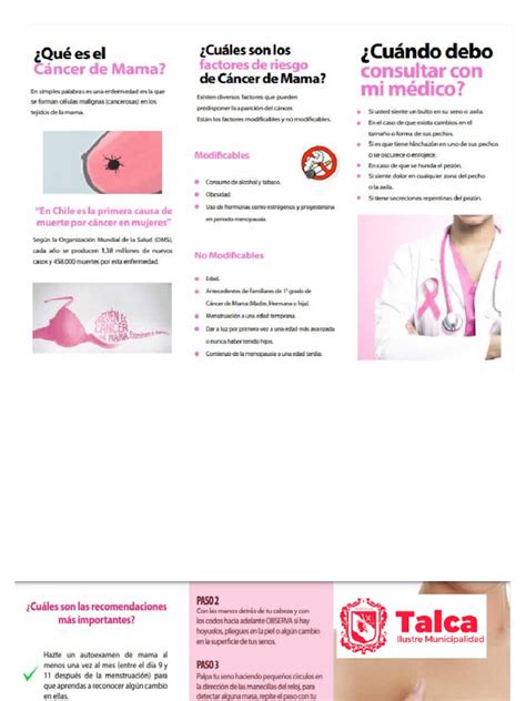 Triptico Cancer De Mama Pdf