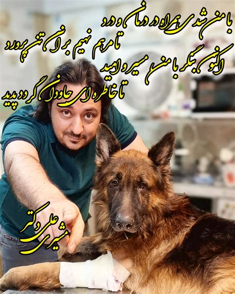 ای یار وفادار و پر از صبر و وقار مانند دلاوران، غیوری استوار هر چند تنت