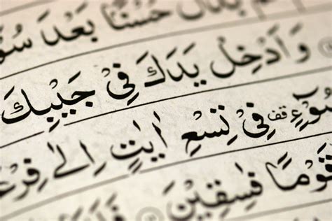 Documentation New Bitext We Help Ai Understand Humans Chatbots That Work