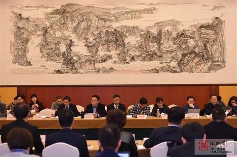 兩會同期聲丨省政協委員聯組討論 為「兩個高水平」建設建言獻策 每日頭條