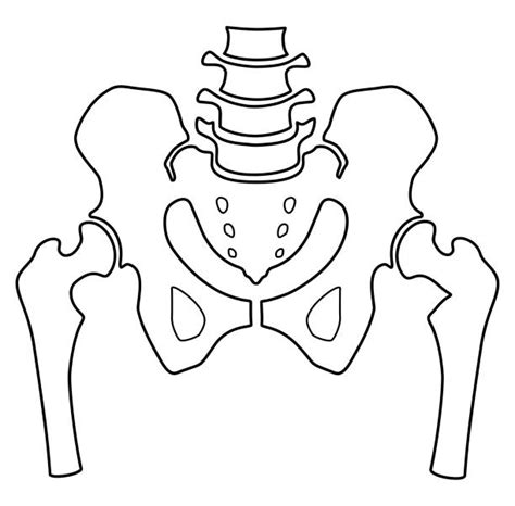 Groin Area Silhouette Illustrations Royalty Free Vector Graphics
