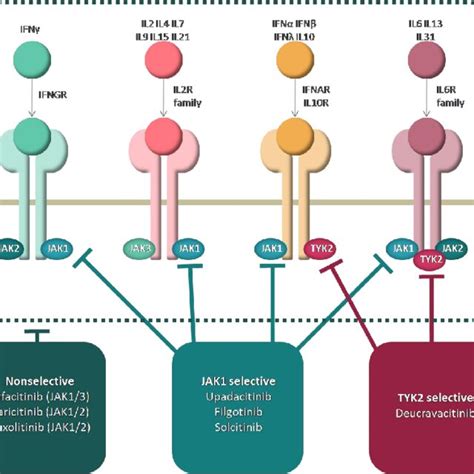 Baricitinib Main Case Reports And Clinical Trials Download