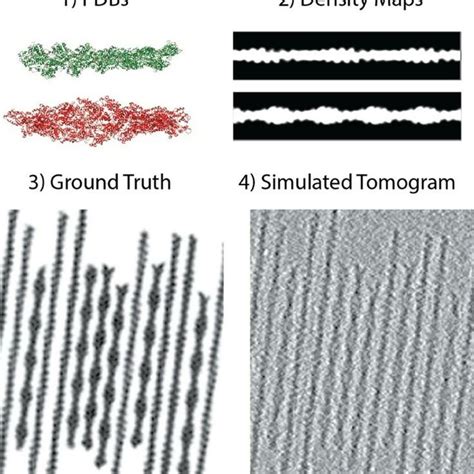 Simulation Outline 1 Obtain Appropriate Pdb Structures 2 Generate Download Scientific