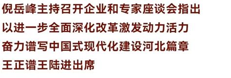 倪岳峰主持召开企业和专家座谈会 澎湃号政务 澎湃新闻 The Paper
