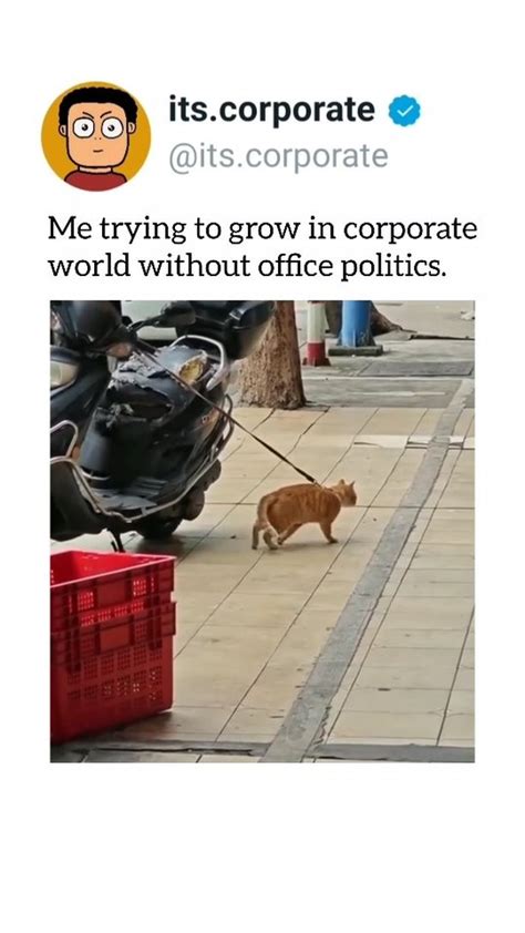 it s corporate tag your corporate friends 😂 corporatememes corporate officememes