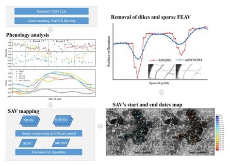 Remote Sensing Free Full Text Accurate Monitoring Of Submerged Aquatic Vegetation In A