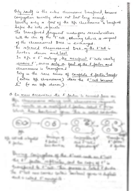 Solution Conjugation And Transduction In Bacteria Studypool