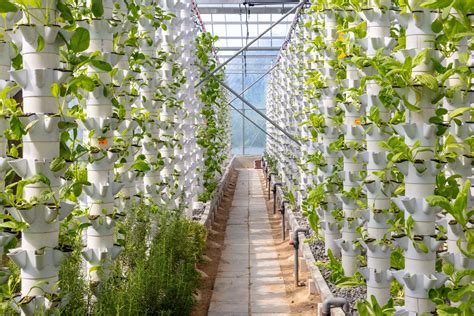 How Does Vertical Farming Work Process Storage More