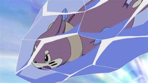 File Ash Buizel Ice Aqua Jet Png Bulbagarden Archives