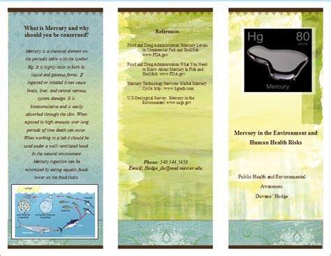 Global Issues In Environmental Health Mercury In The Environment And