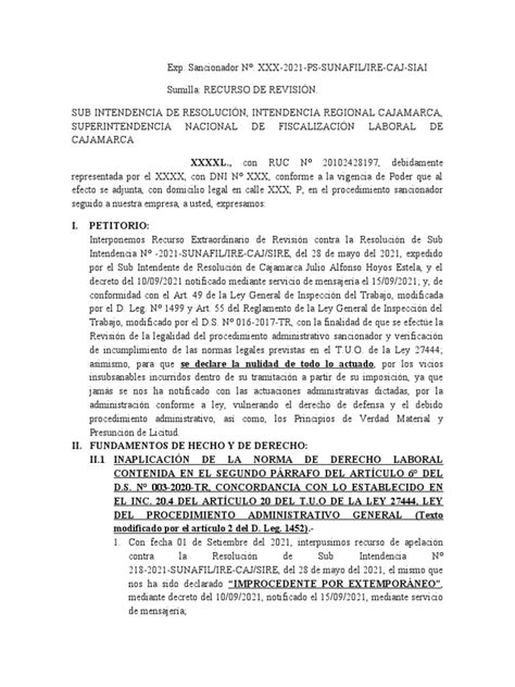Recurso De Revision Pdf Ciencias Políticas Justicia