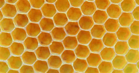 Enhancing Rest Apis With Hateoas A Guided Workflow Approach