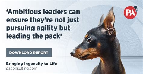 Pa Consulting On Linkedin Agility Organisationalagility