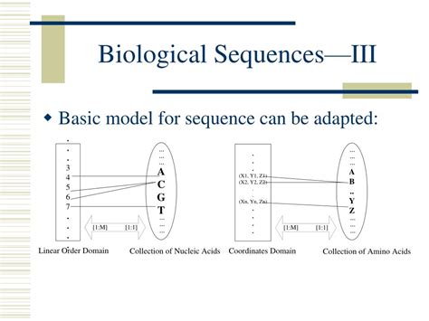 Ppt Semantic Modeling Of Biological Sequences Powerpoint Presentation Id1351043