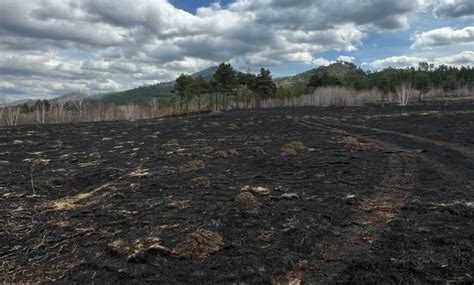 Хэнтий аймгийн Норовлин суманд гарсан ойн түймрийг бүрэн унтраалаа Subeedei Mn