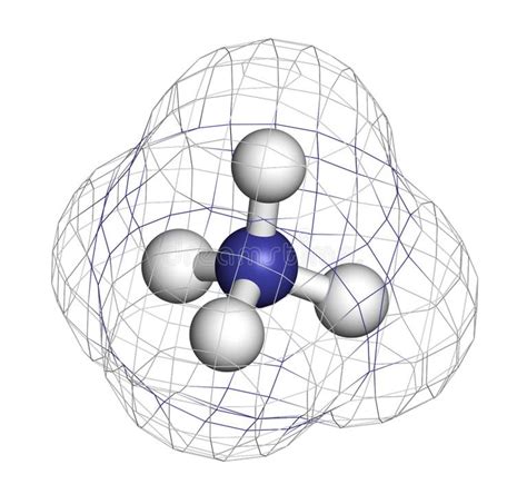 Protonated Form Stock Illustrations 27 Protonated Form Stock