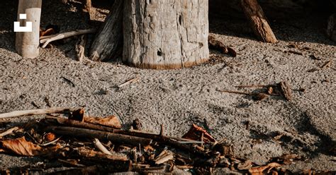 플라스틱을 멈추고 지구를 구하라는 나무 표지판 사진 Unsplash의 무료 오염 중지 이미지