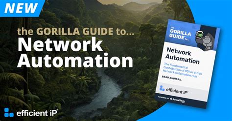 Efficientip On Linkedin New 2023 Gorilla Guide To Network Automation