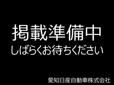 リーフ E アーバンクロム コネクトナビ 全方位カメラ Etc20愛知の中古車詳細 中古車なら【カーセンサーnet】