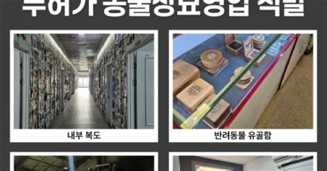매월 80마리 반려동물 불법 화장한 장묘업자 적발