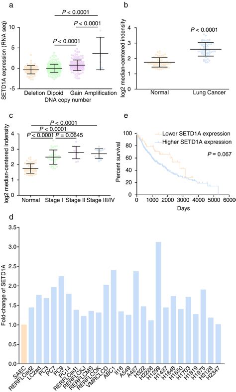 Upregulated Setd1a Is Associated With The Disease Process In Lung