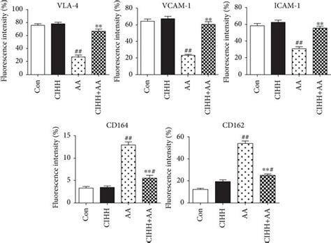 The Protein Expression Of Vla 4 Vcam 1 Icam 1 Cd162 And Cd164 In