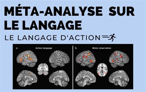Méta Analyse Sur Le Langage Speechneurolab