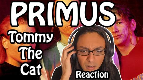 Musician Listens To Tommy The Cat PRIMUS First Time Reaction YouTube