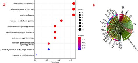 A Go Analysis Of The Highest Scoring Gene Clusters Using The R Language