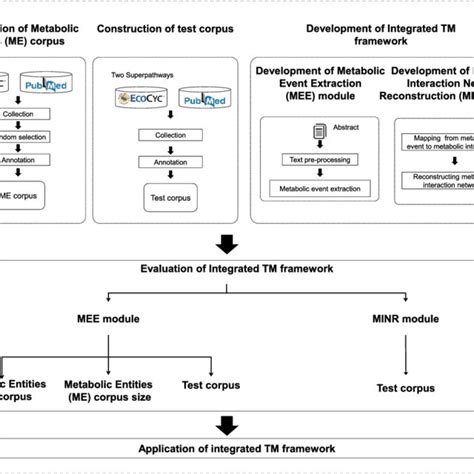 A Schematic Diagram Outlining The Development Steps For The Proposed