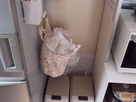 冷蔵庫横のスペースにおしゃれな棚（収納をdiy 東京ウェブ人
