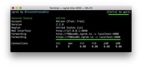 github dwyl learn ngrok ☁️ learn how to use ngrok to share access to