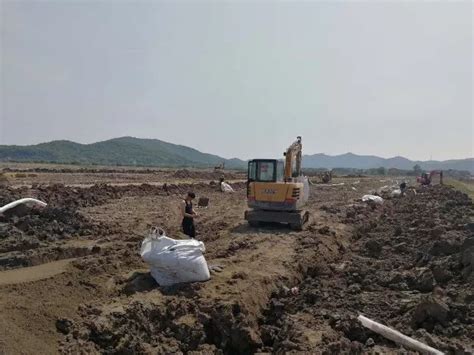 岱山盐碱地改造实验喜获丰收 项目
