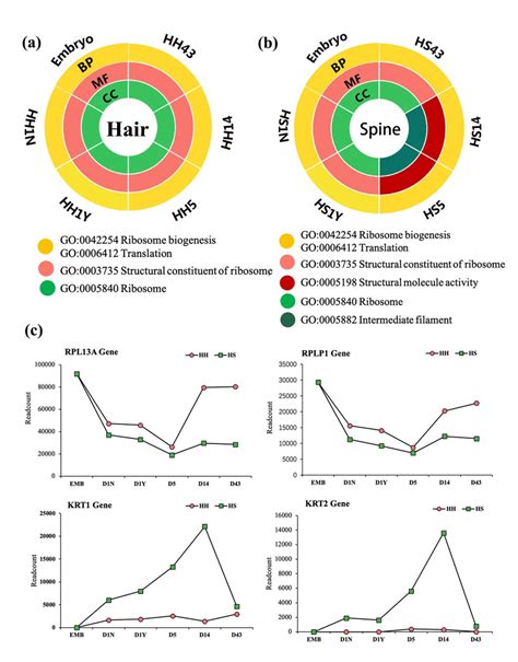 Core Top 100 Transcripts Go Enrichment Analysis Based On Fpkm Value Download Scientific