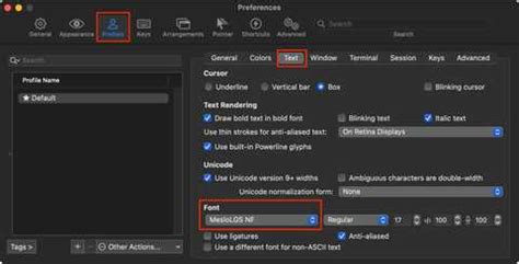 How To Change Visual Studio Code Terminal Font Trung Vo