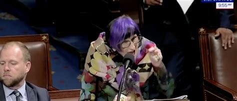 Woman With Purple Hair Yells At Republicans About Healthcare For Over A