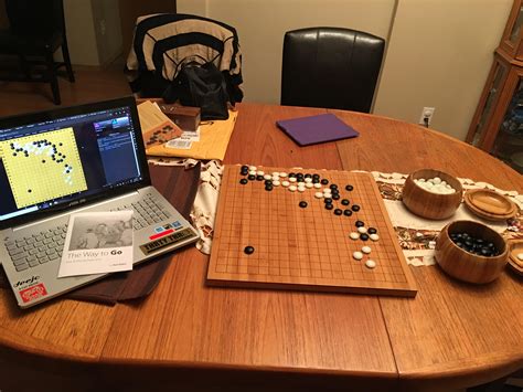 I Think The Go Bug Got Me Rbaduk