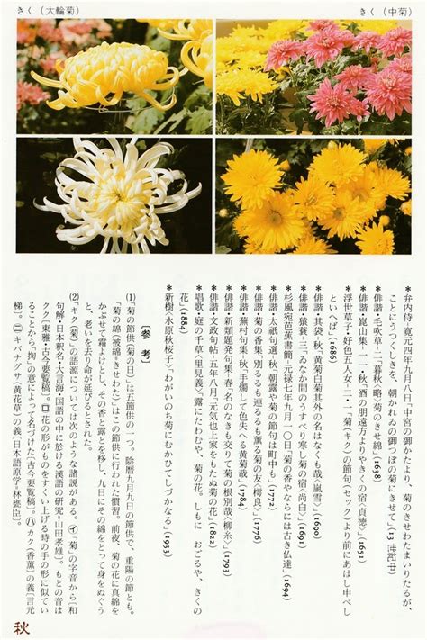 菊 空（hanul 하늘）風palam 바람湖水hosu 호수2青空を吹きぬける風が、湖水にさざ波をたてる。