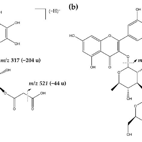 Mass Fragmentation Pattern For The Tentative Identification Of A