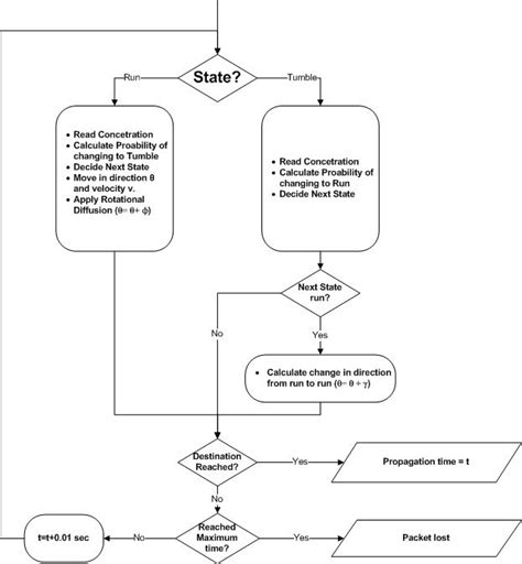 14 simulation pseudocode 50 download scientific diagram