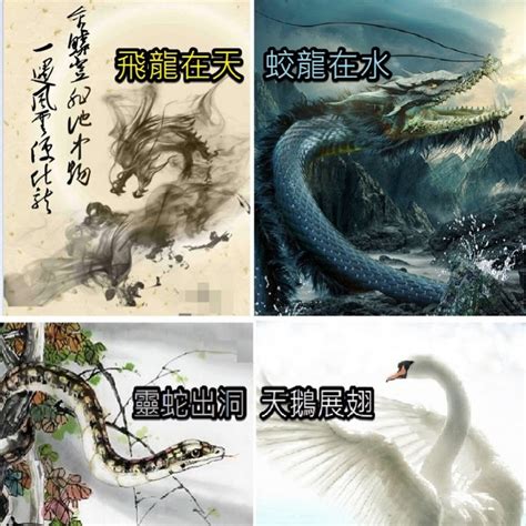 小富由精大富由命 Youtube