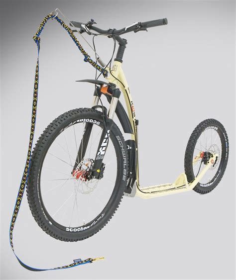 Kostka Scooter Mushing Pro | Camping gifts, Gifts for campers, Cool bikes