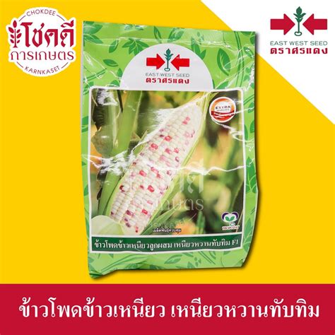 ข้าวโพด เหนียวหวานทับทิม เมล็ดข้าวโพดข้าวเหนียว ลูกผสม ตราศรแดง บรรจุ
