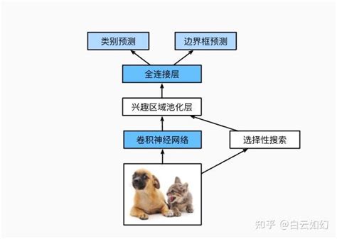 计算机视觉技术 区域卷积神经网络（r Cnn） 知乎