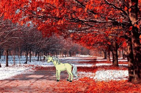 Tutoriales UGA 5 9 Insertar Un Gif Animado