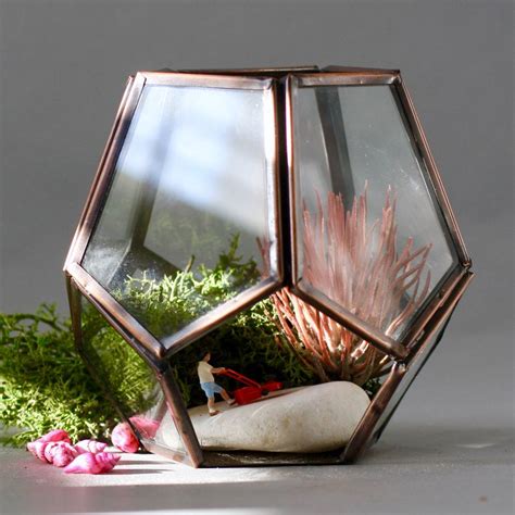 Terrarium Figurines Hot Sex Picture