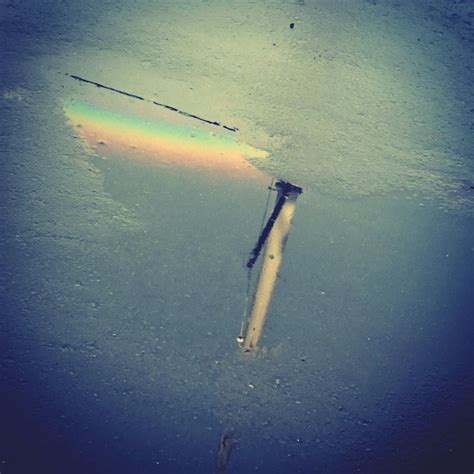 Premium Photo Reflection In Puddle
