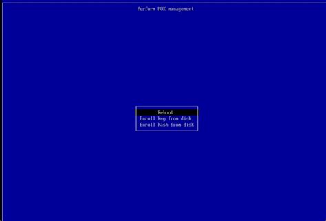 Setting Up Secure Boot In Arch Based Distributions Tutorials